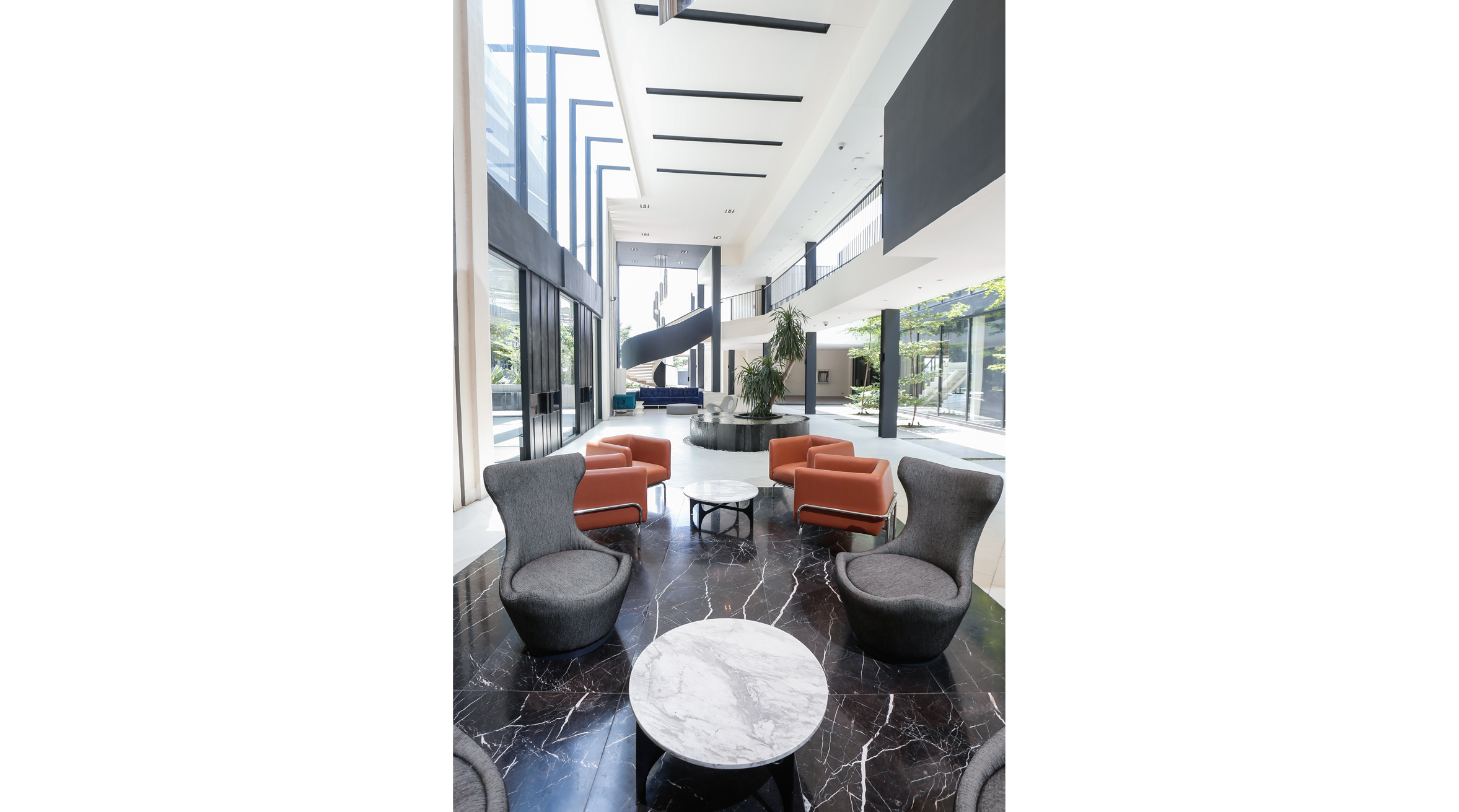 The Blue Leaf Cosmopolitan | JaggedPerspective