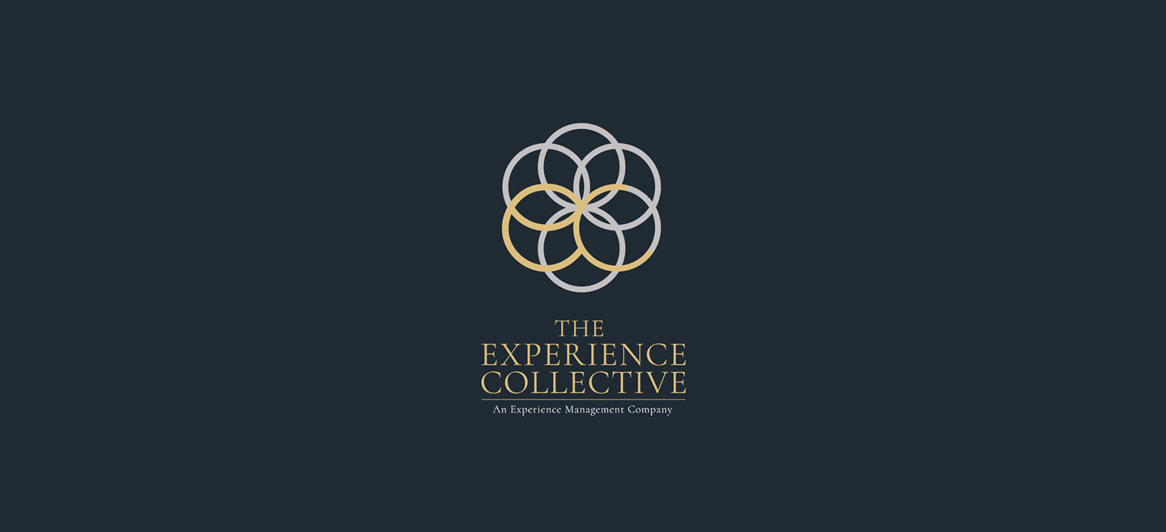 The Experience Collective Inc. | JaggedPerspective